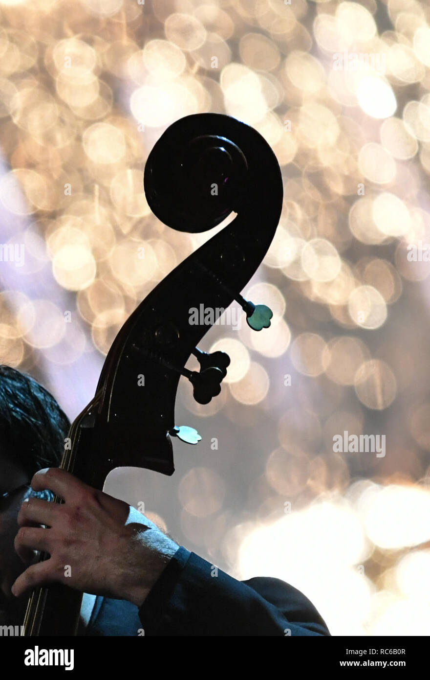 Big cello hi-res stock photography and images - Alamy