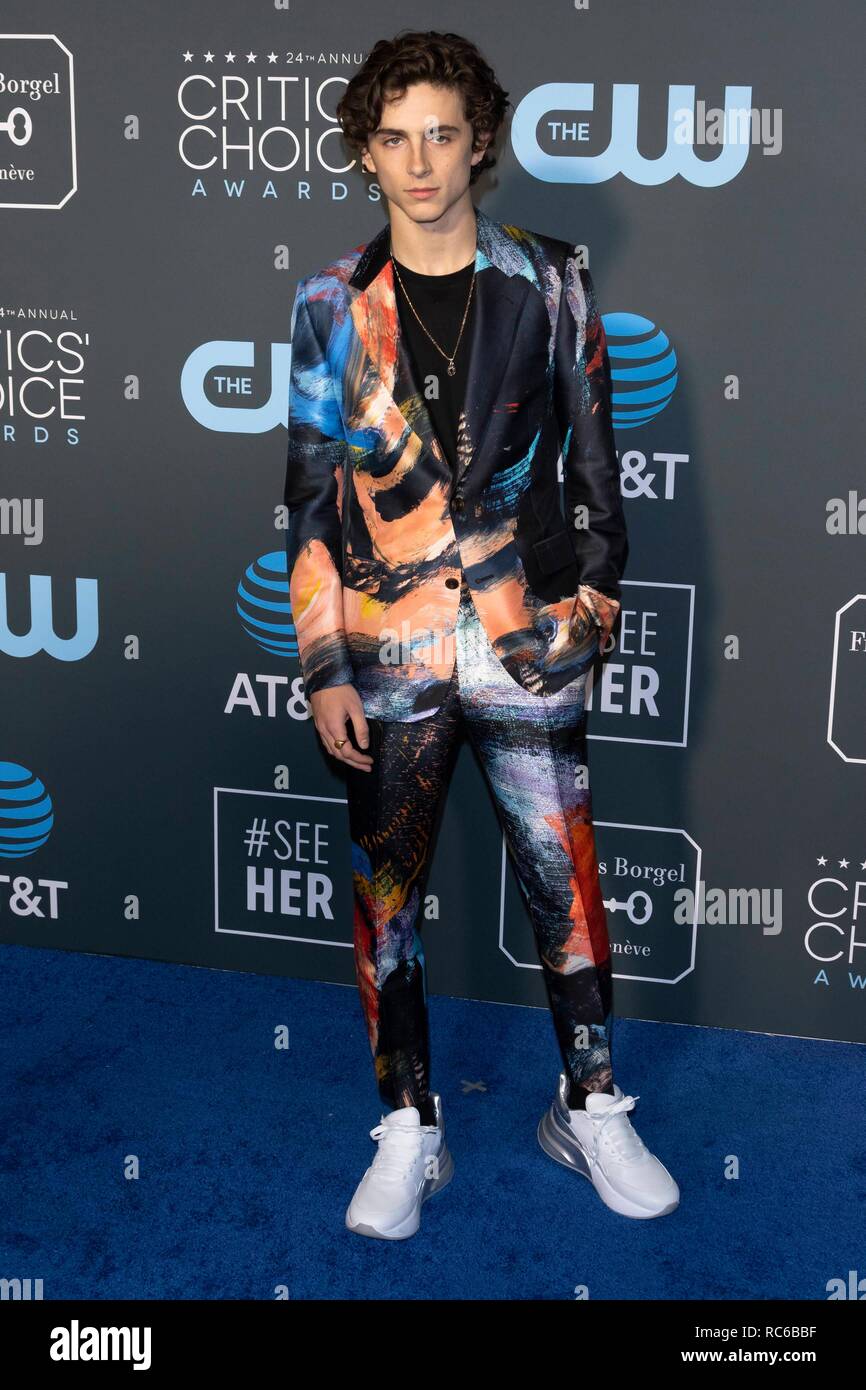 Timothee Chalamet attends the 24th Annual Critics' Choice Awards at ...