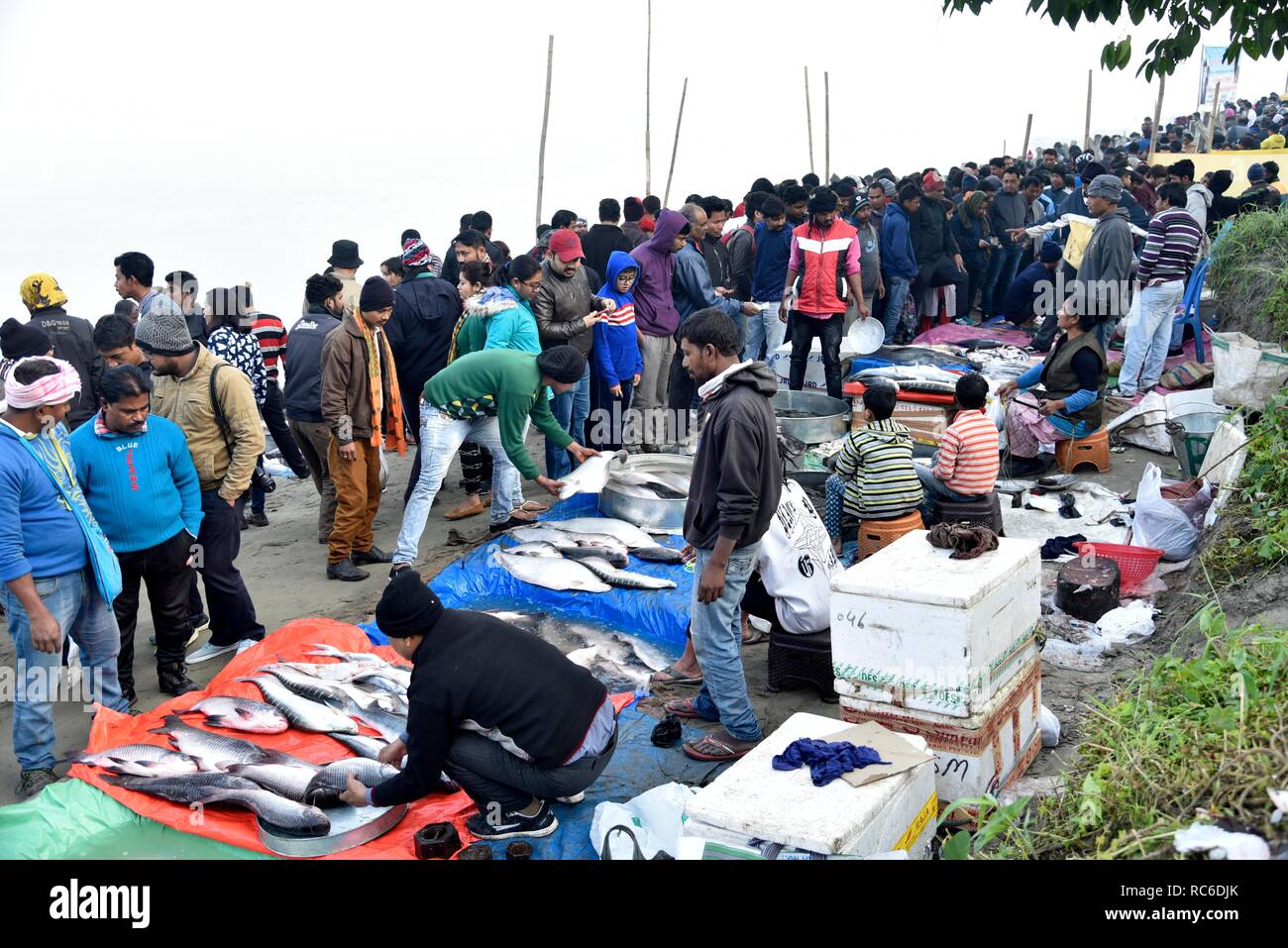 Guwahati, Assam, India. 14th Jan 2019. Peoples throng to buy fish at a ...