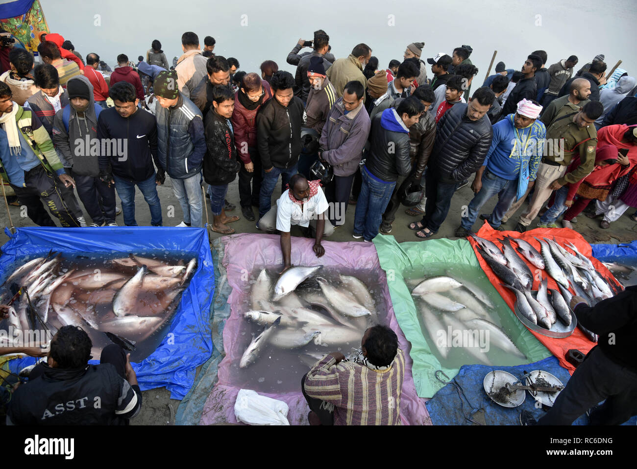 Guwahati, Assam, India. 14th Jan 2019. Peoples throng to buy fish at a ...