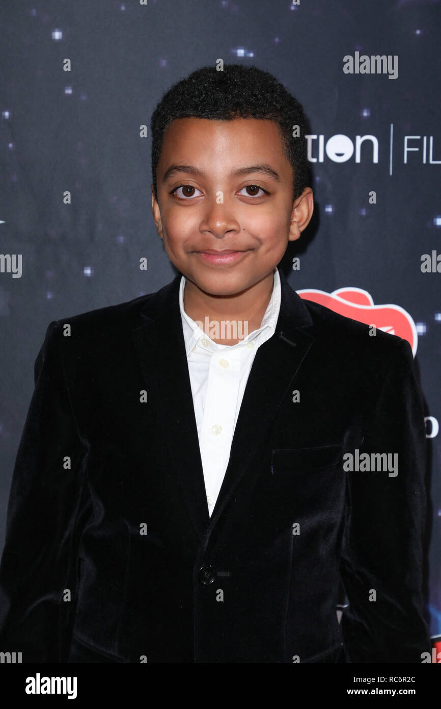 Funimation Films' 'Dragon Ball Super: Broly' Movie Premiere held at the ...