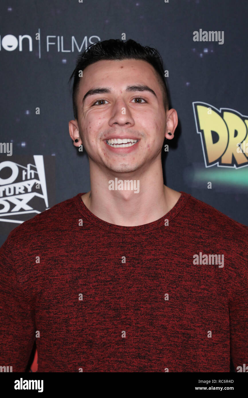 Funimation Films' 'Dragon Ball Super: Broly' Movie Premiere held at the ...