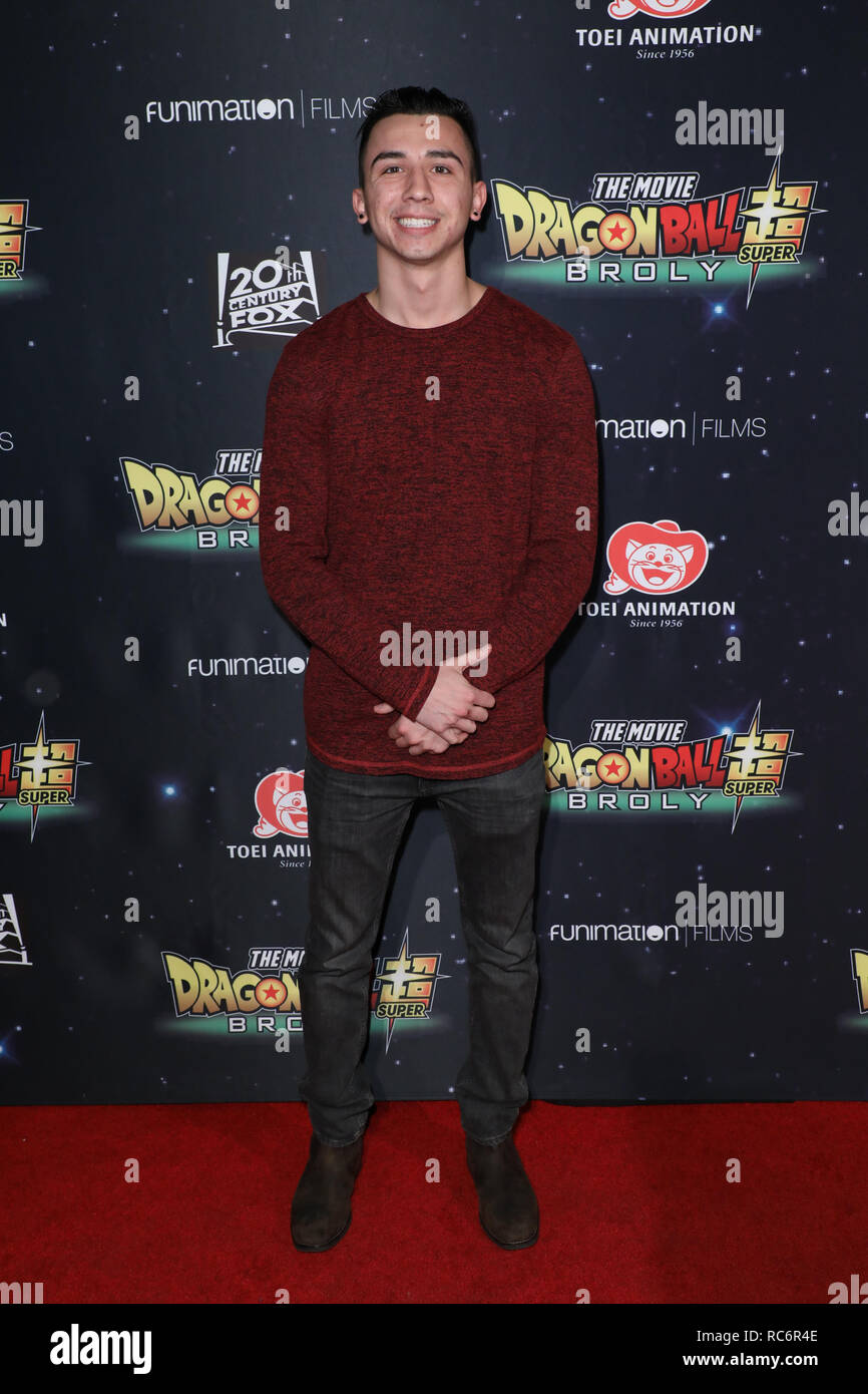 Funimation Films' 'Dragon Ball Super: Broly' Movie Premiere held at the ...