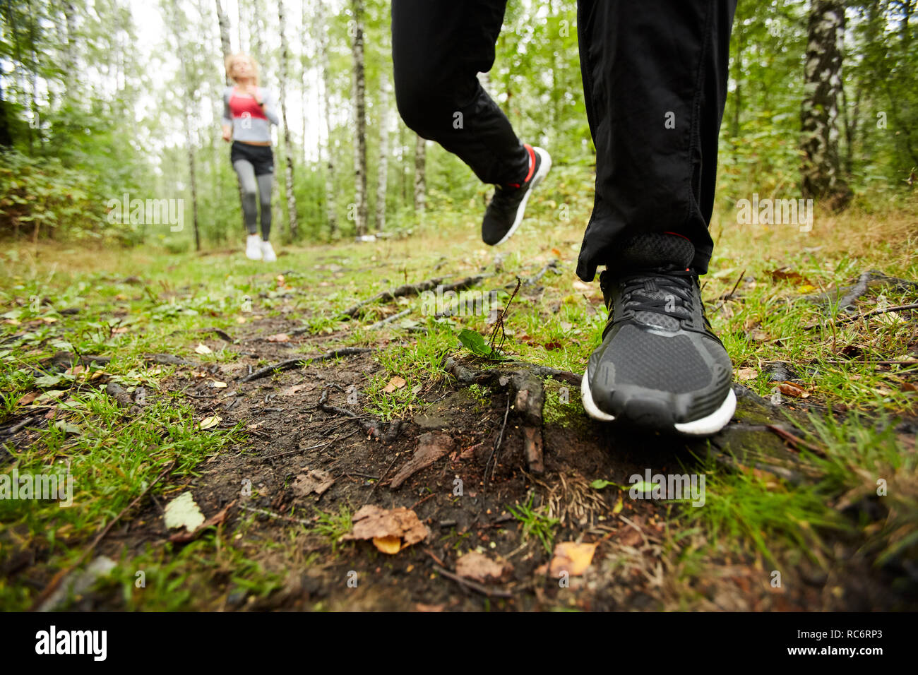 Human forest hi-res stock photography and images - Alamy
