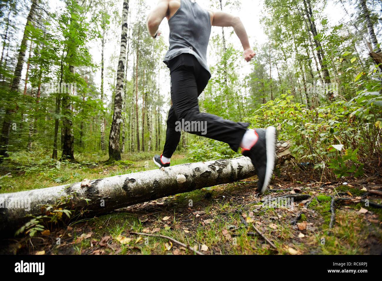 Daily log hi-res stock photography and images - Alamy