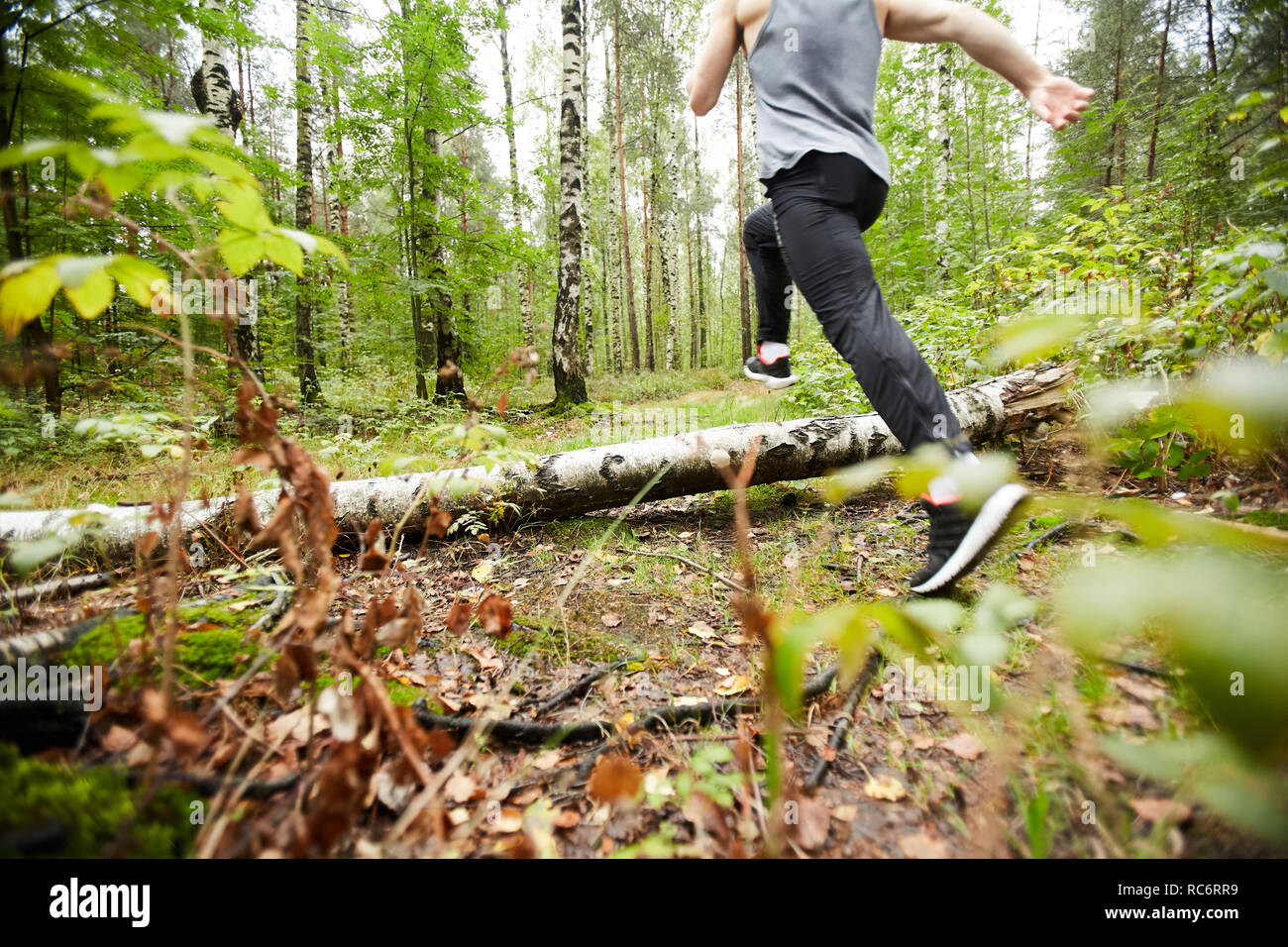 Running man in forest path hi-res stock photography and images - Alamy