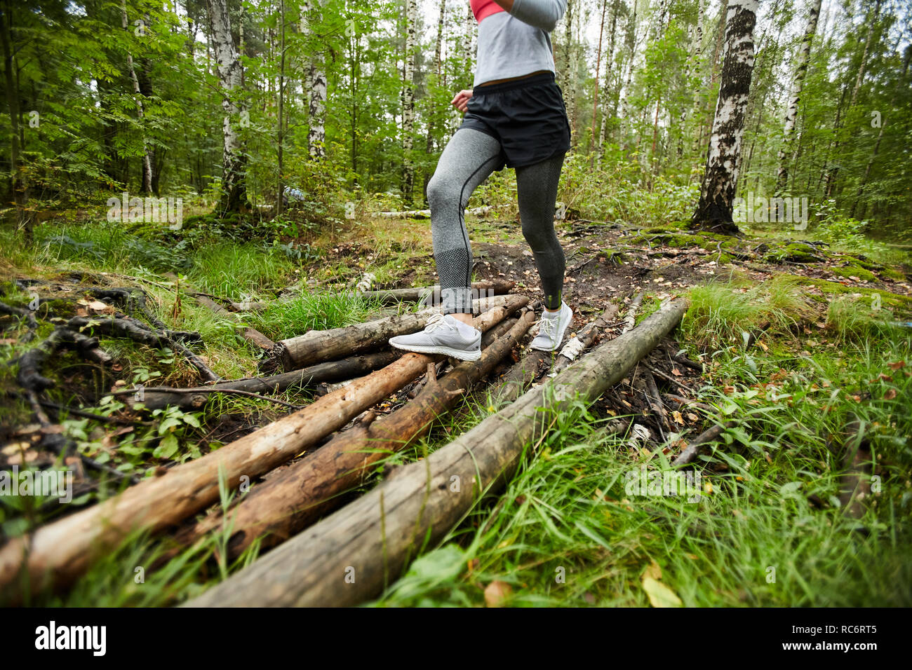 Training on logs Stock Photo - Alamy