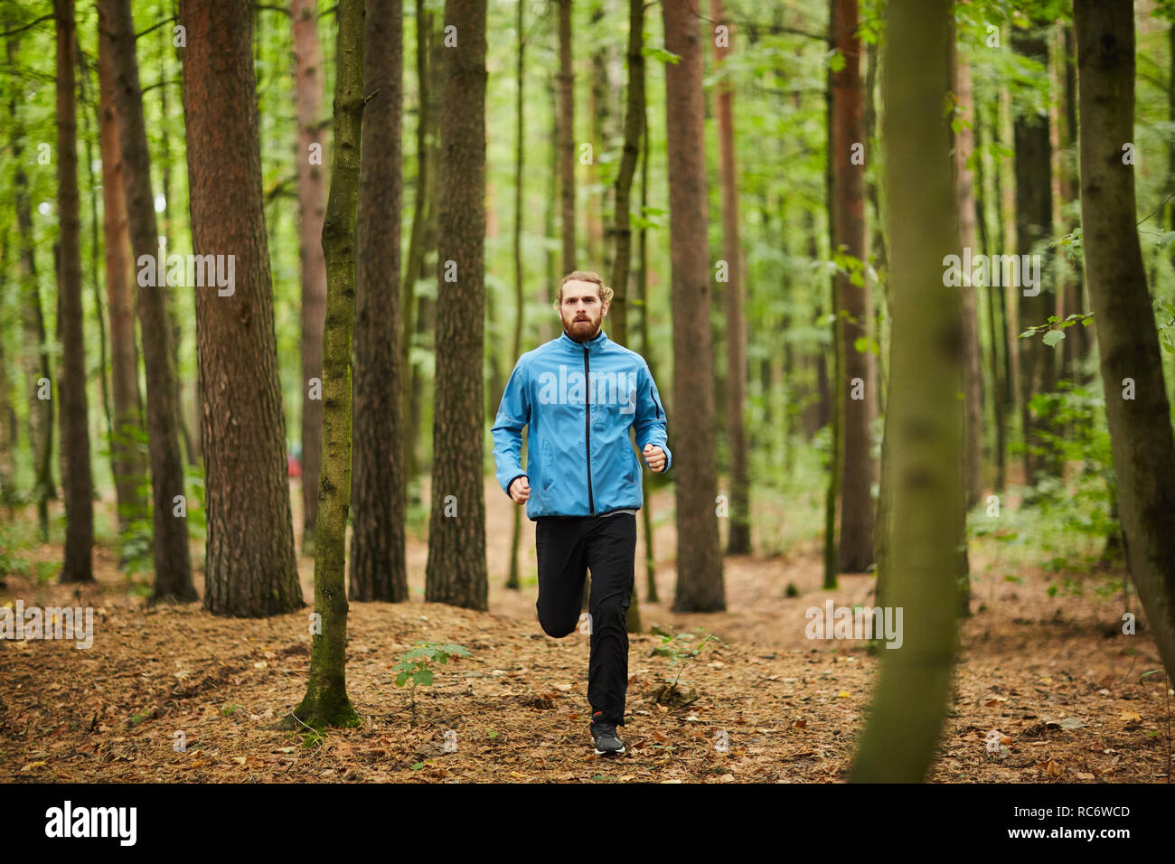 Running on forest path Stock Photo - Alamy