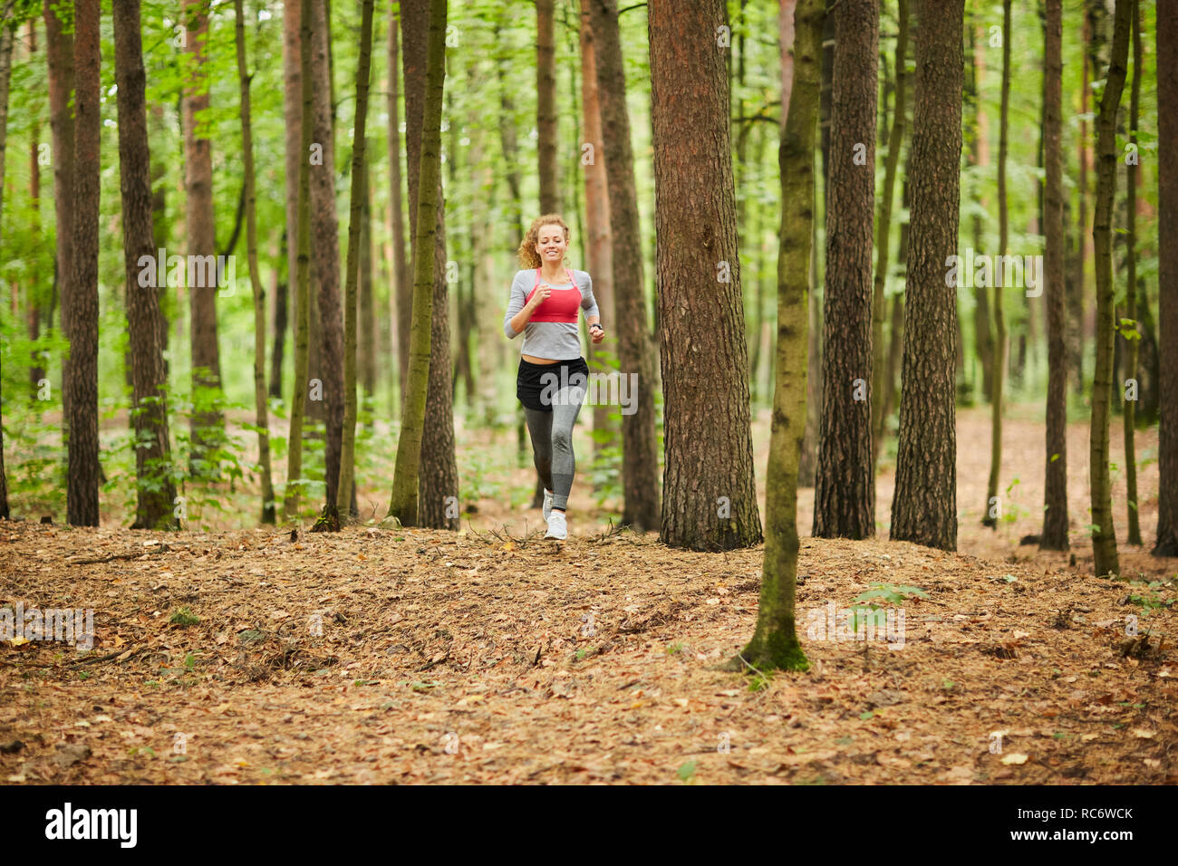 Training in the forest hi-res stock photography and images - Alamy