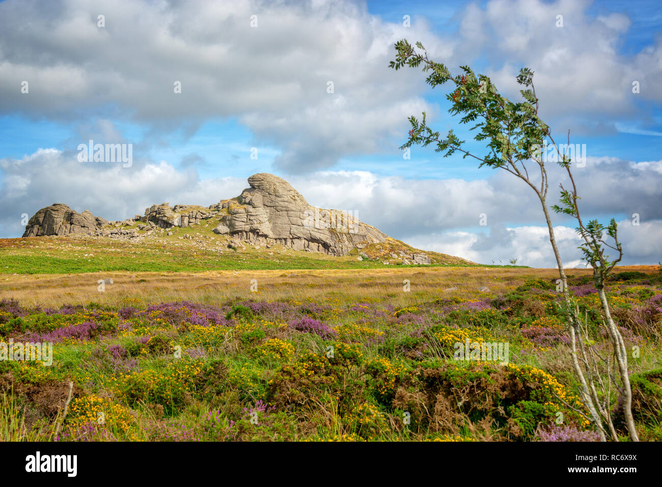 Saddle Tor in Dartmoor, Devon, UK Stock Photo - Alamy