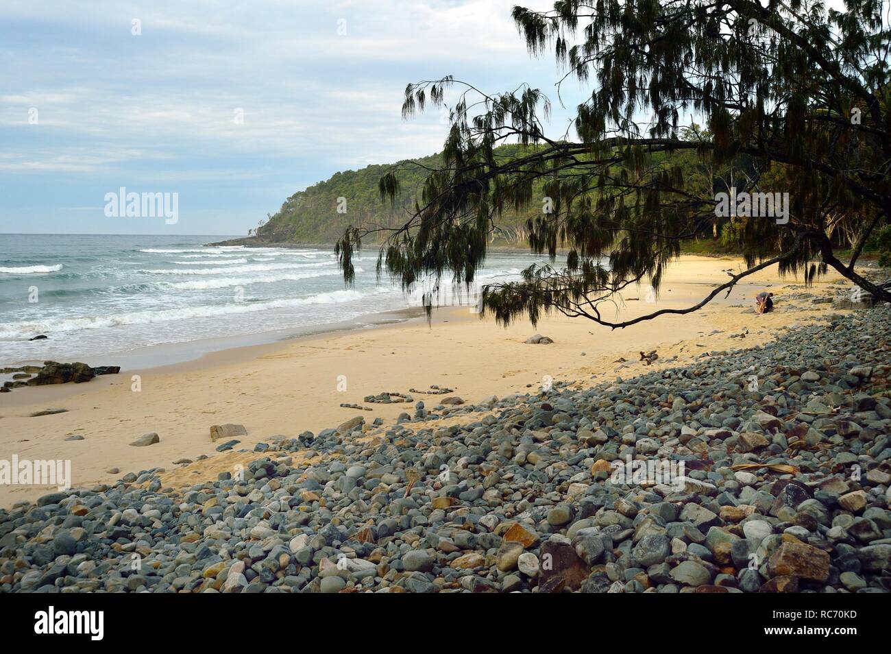 Tea Tree Bay, Noosa, Queensland, Australia Stock Photo - Alamy