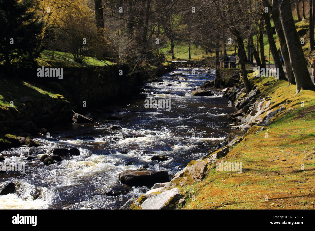 Bad wildbad hi-res stock photography and images - Alamy