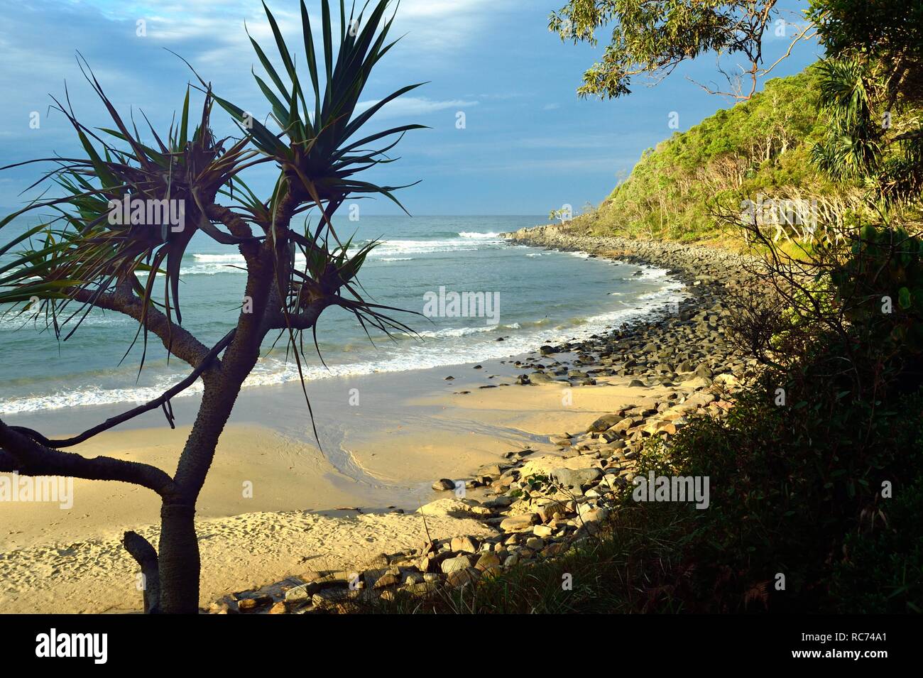 Queensland national park hi-res stock photography and images - Alamy