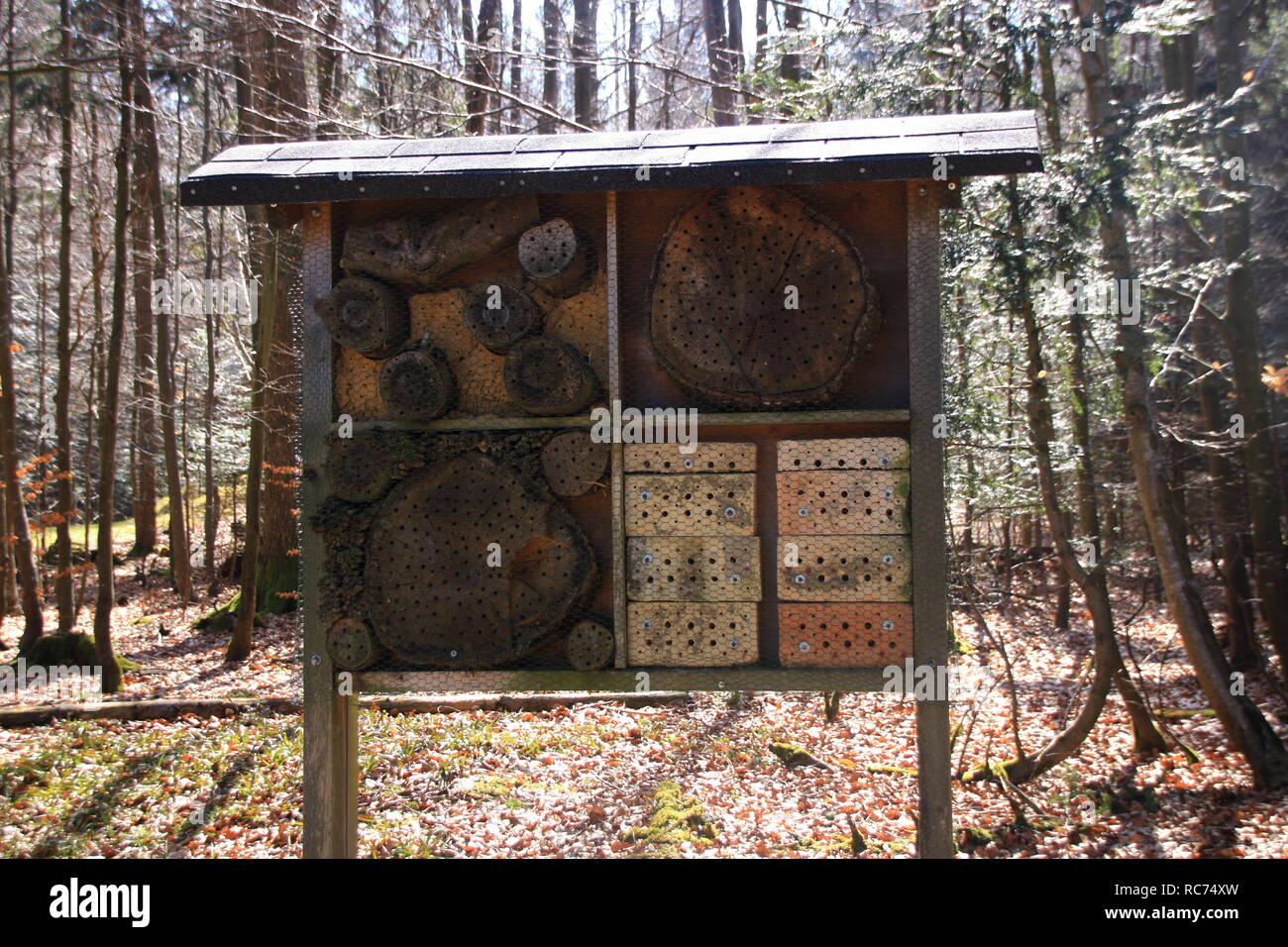 Insect house near Bad Wildbad in the Black Forest Stock Photo - Alamy