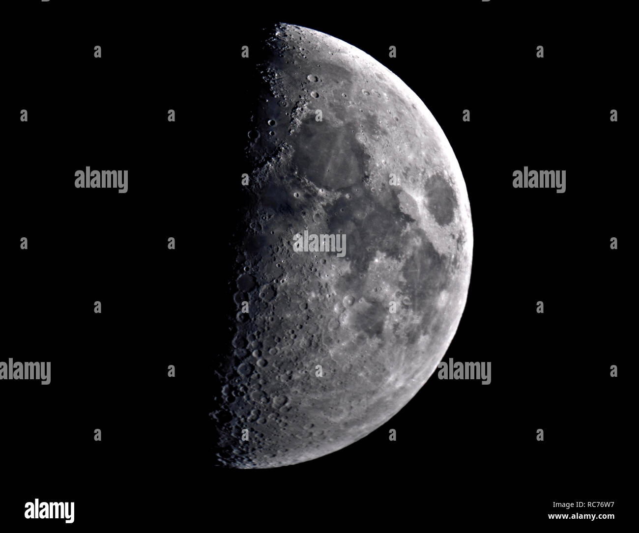 Growing quarter hi-res stock photography and images - Alamy