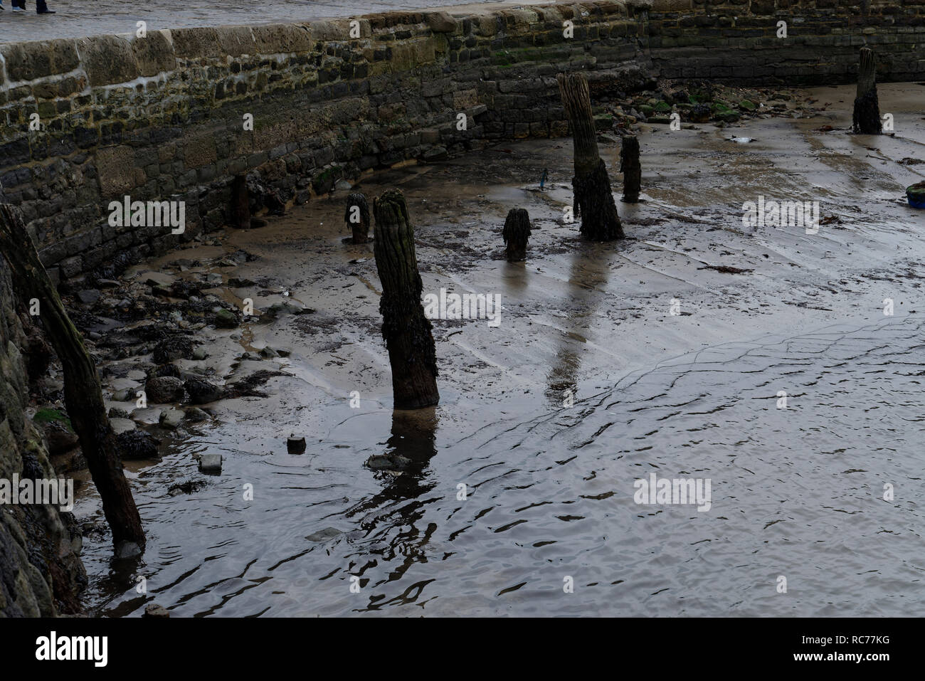Ancient posts that formed moorings for boats and a jetty Stock Photo ...