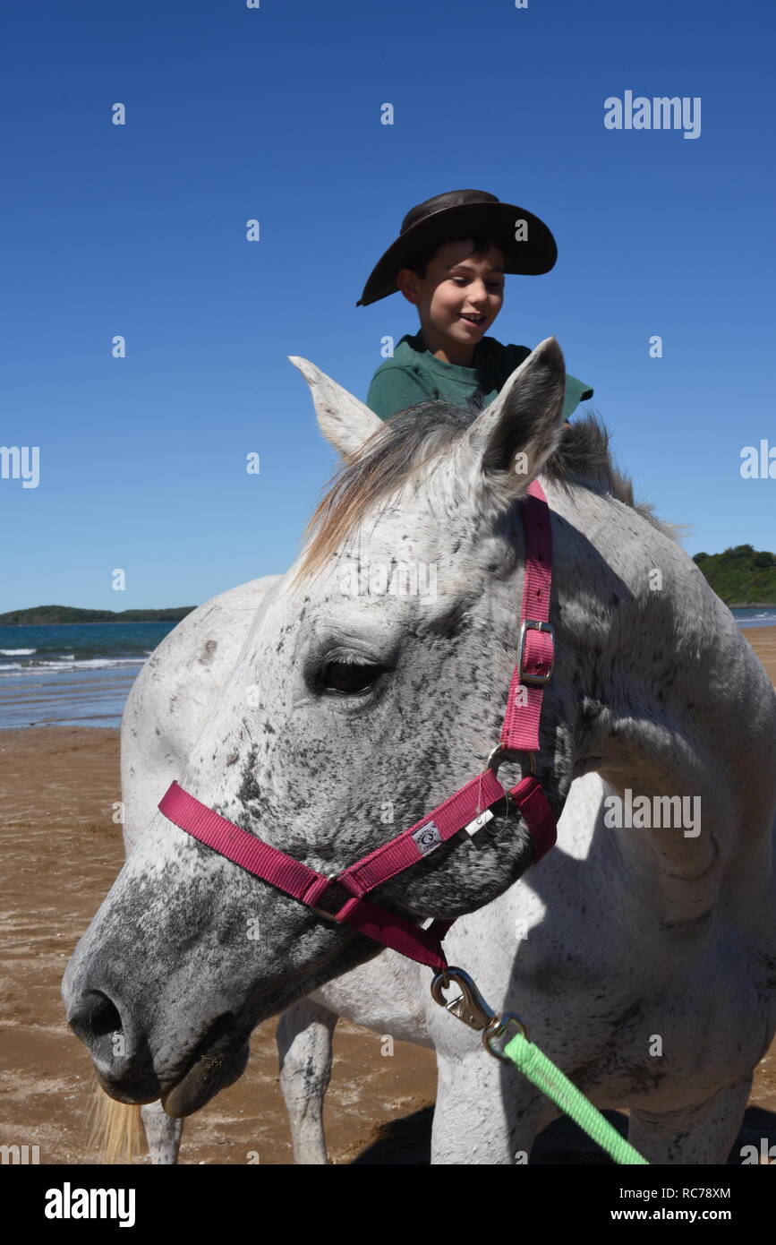 Young boy horse riding on Sarina Beach Stock Photo - Alamy