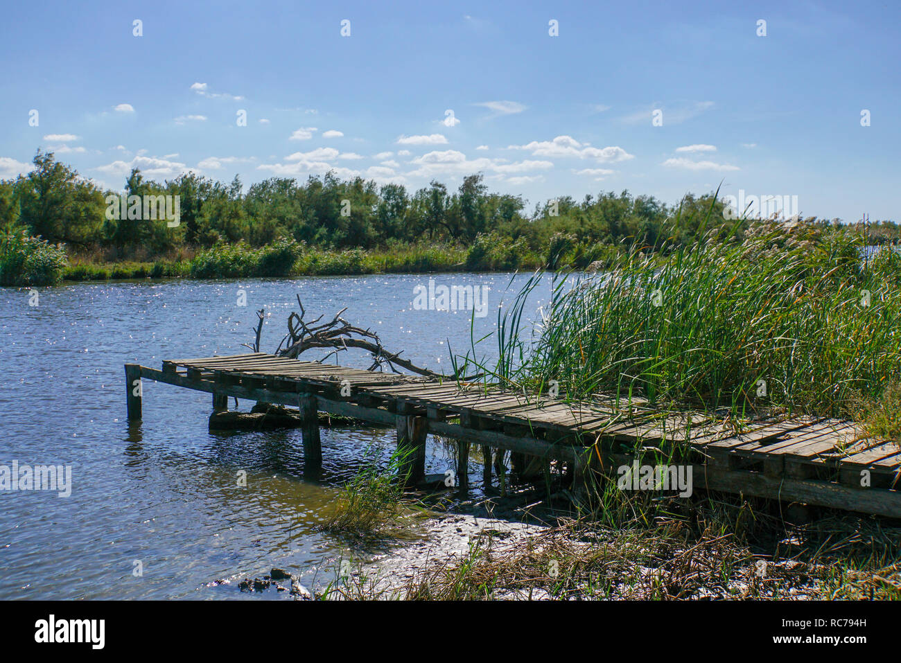 Boat ride at the Delta of Evros river, Thrace (Thraki), Greece Stock ...