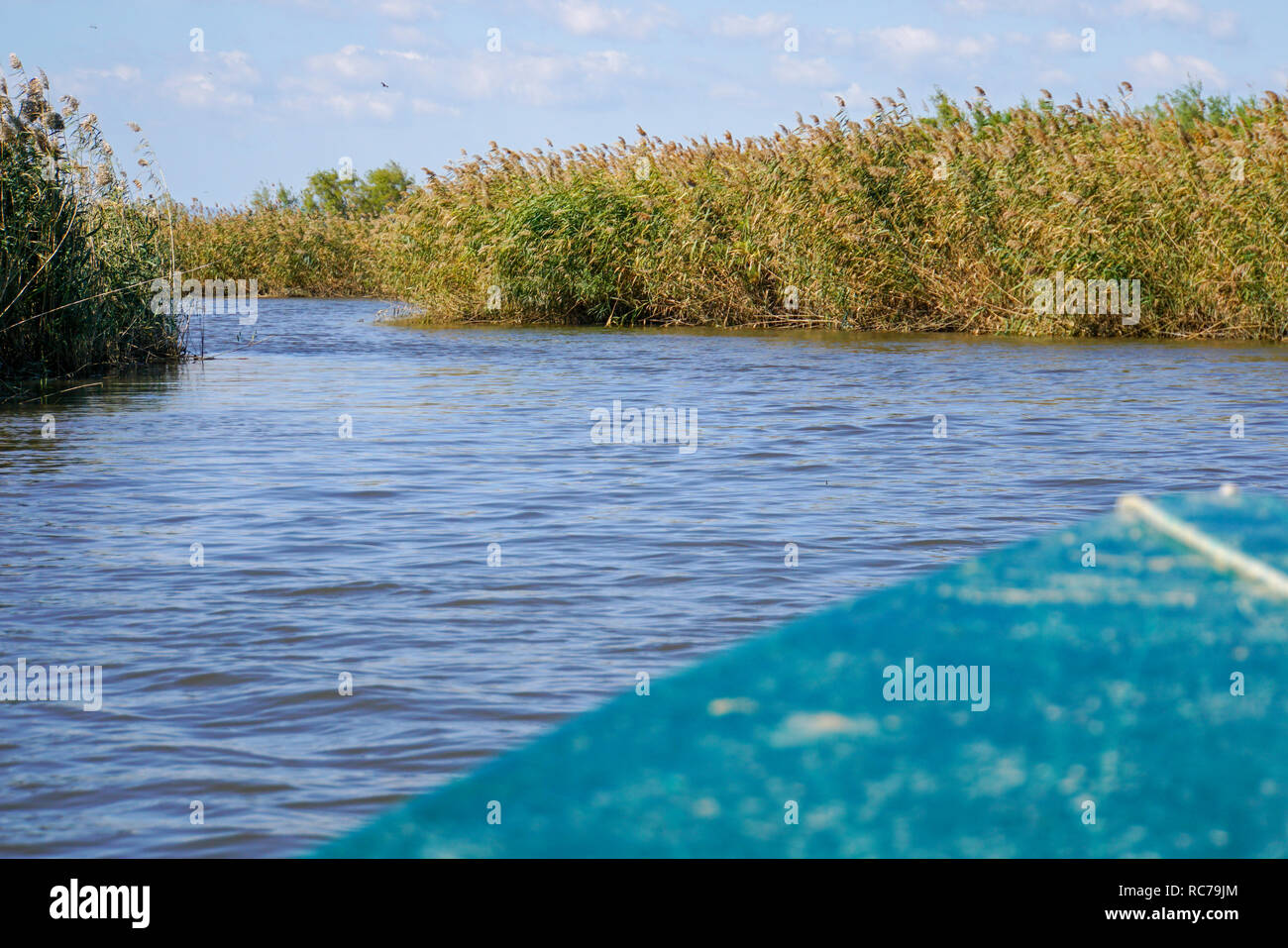Boat ride at the Delta of Evros river, Thrace (Thraki), Greece Stock ...