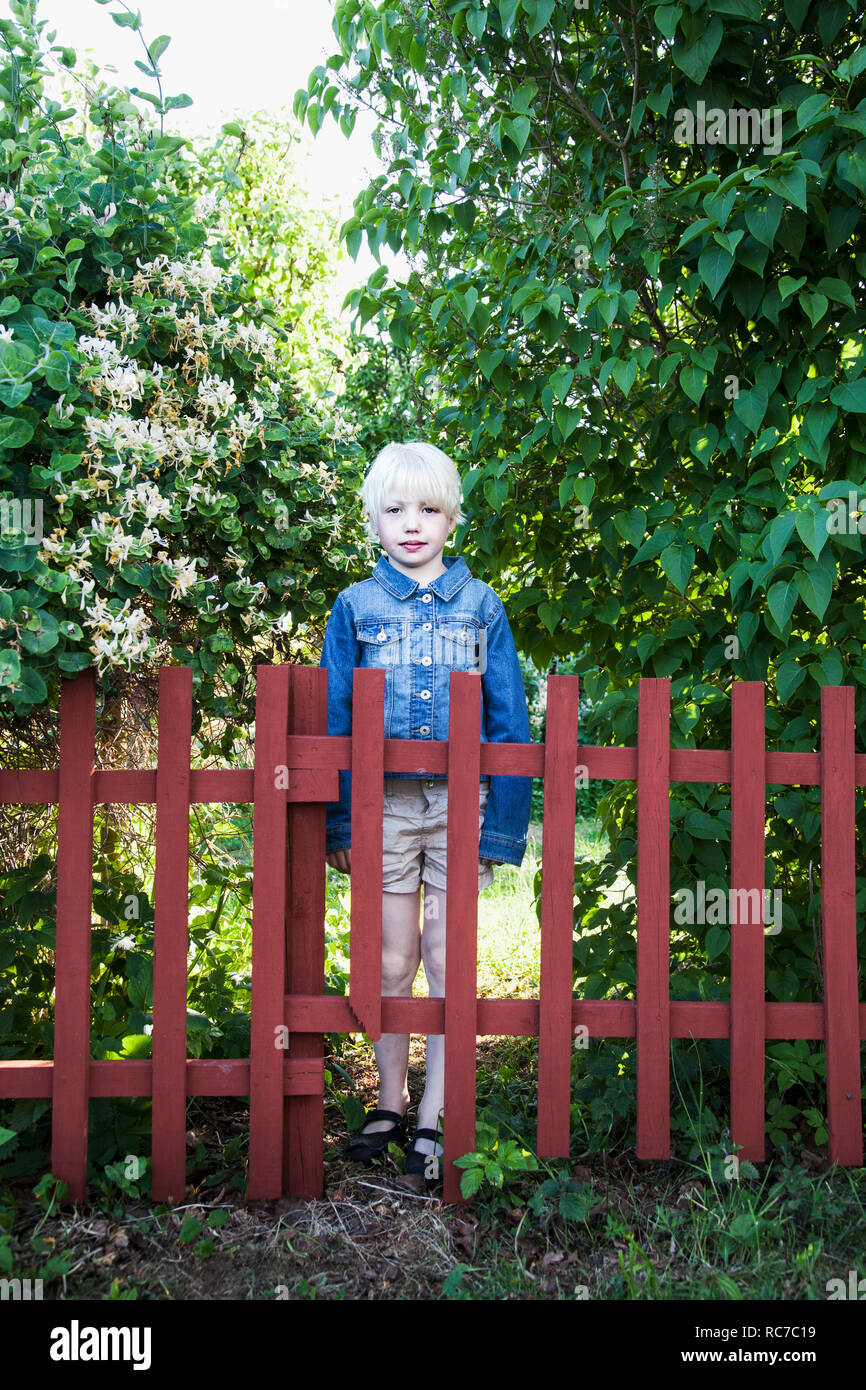 Honeysuckle fence hi-res stock photography and images - Alamy