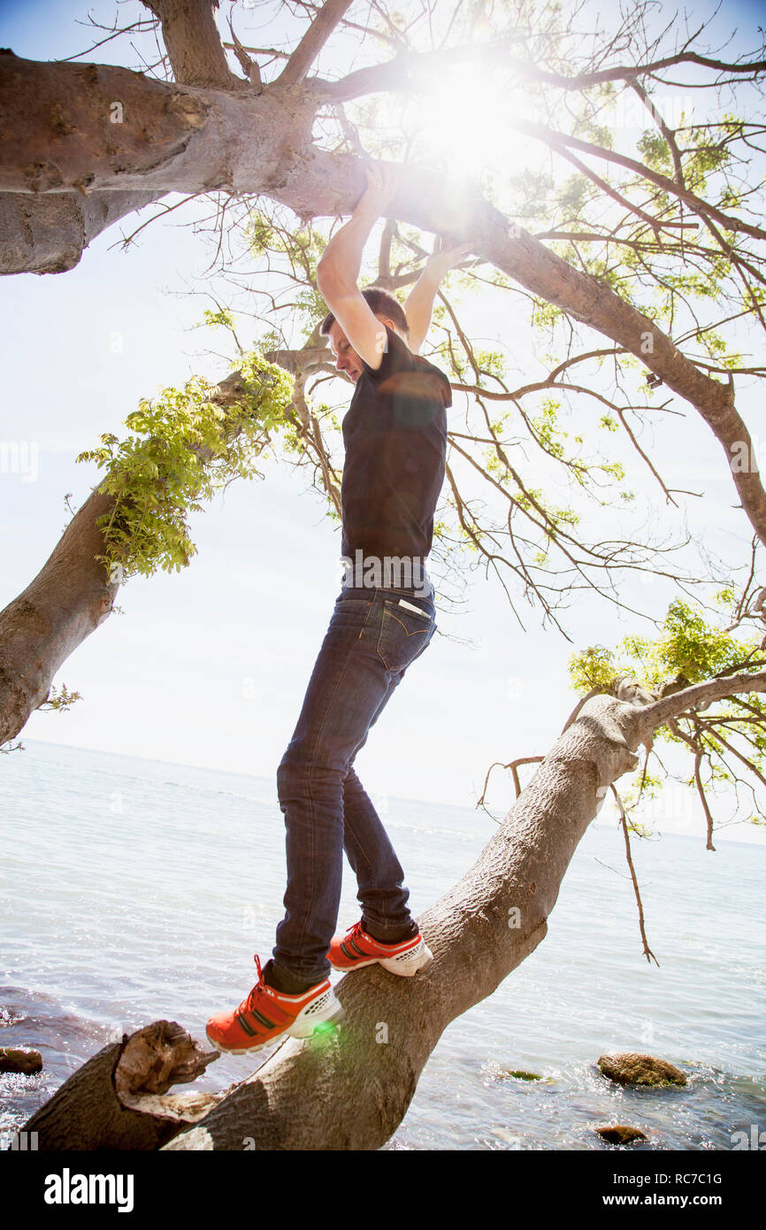 Man standing on tree branch hi-res stock photography and images - Alamy
