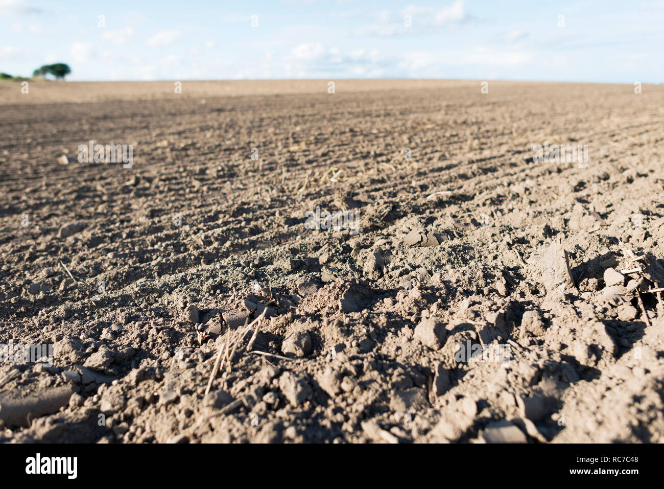 Dirt in cultivated field Stock Photo - Alamy