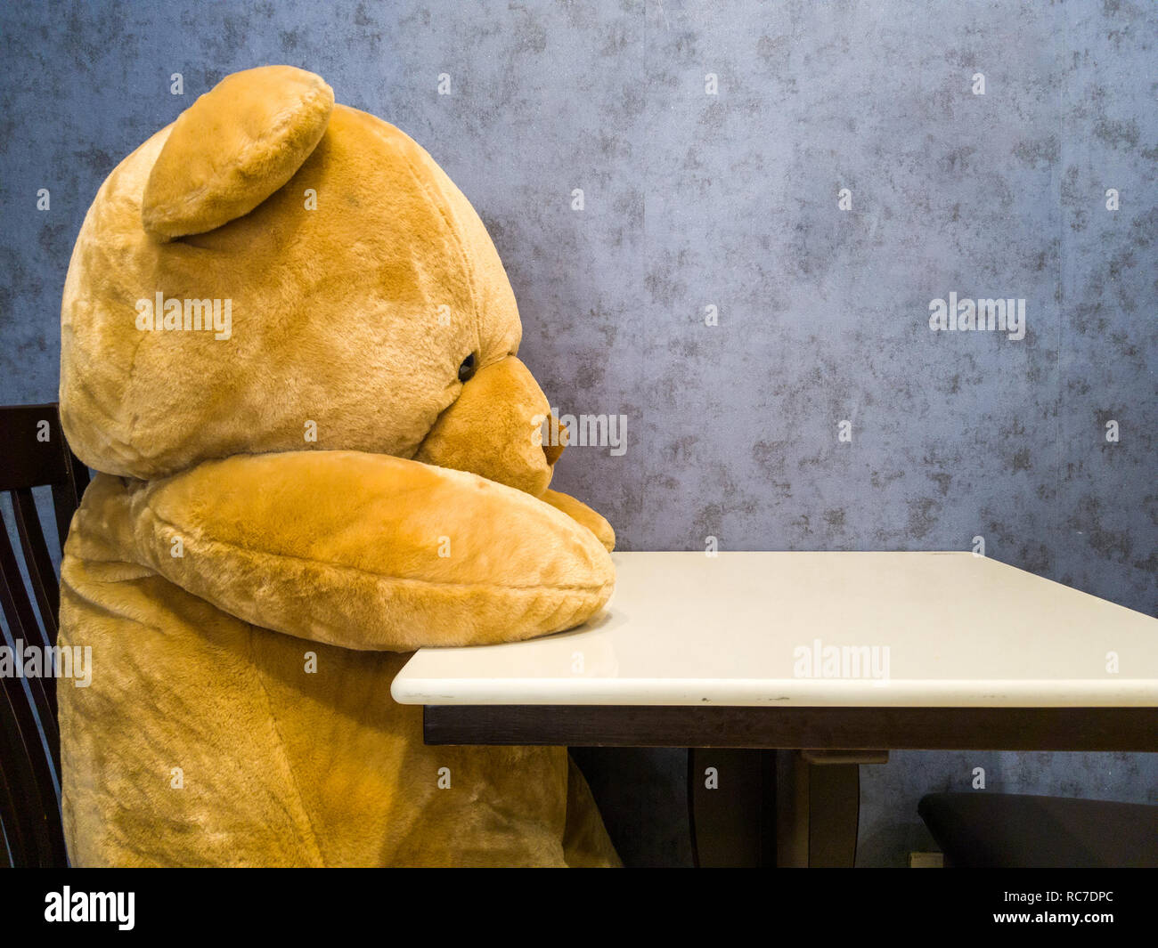 Teddy Bear Sitting On Chair High Resolution Stock Photography and ...