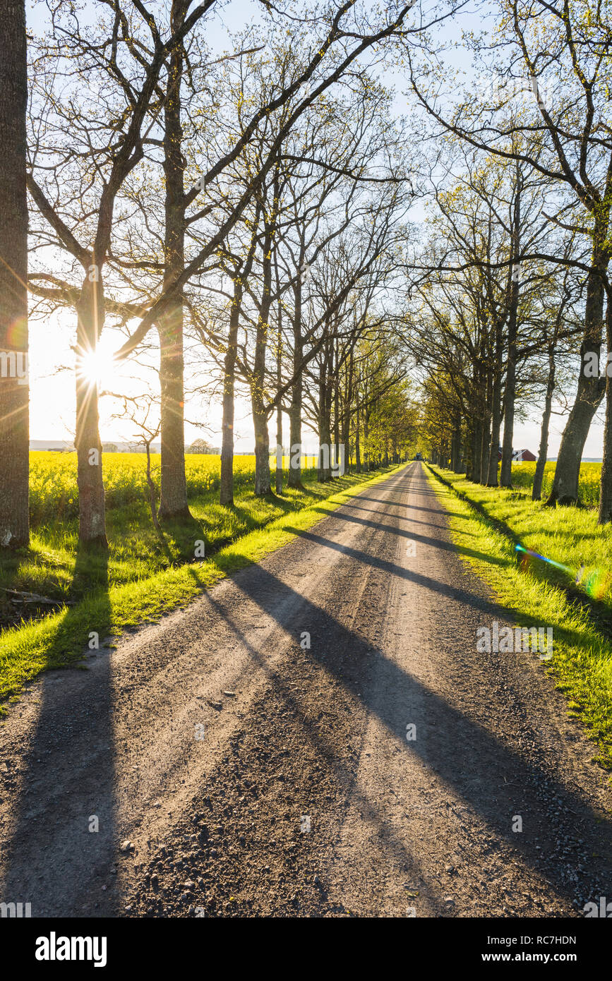 Graveled road hi-res stock photography and images - Alamy