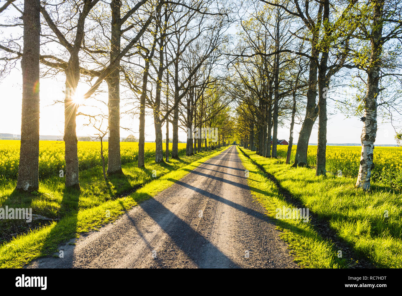 Graveled road hi-res stock photography and images - Alamy