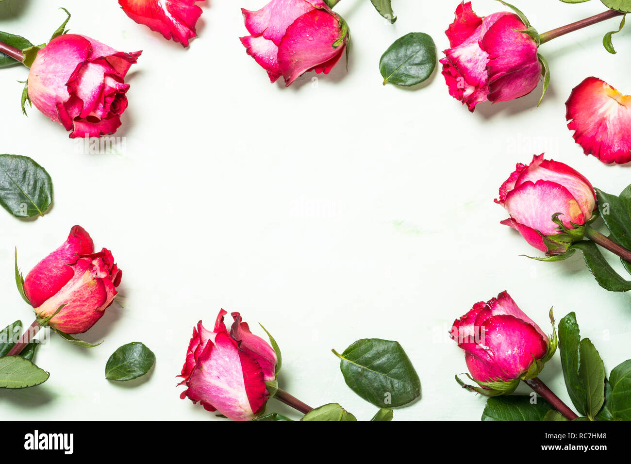 Rose flower background hi-res stock photography and images - Alamy