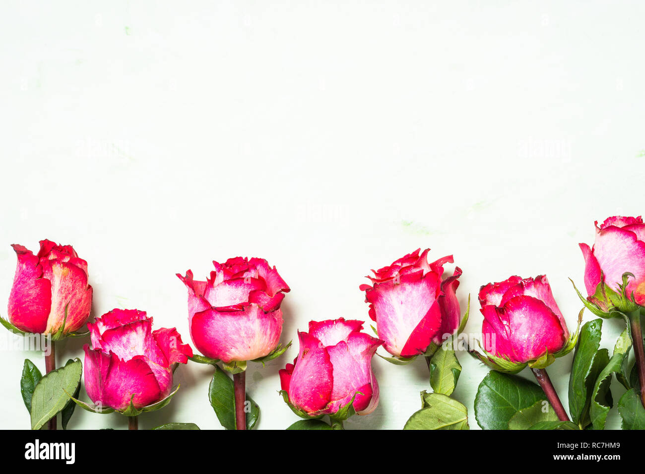 Rose flower background. Top view Stock Photo - Alamy