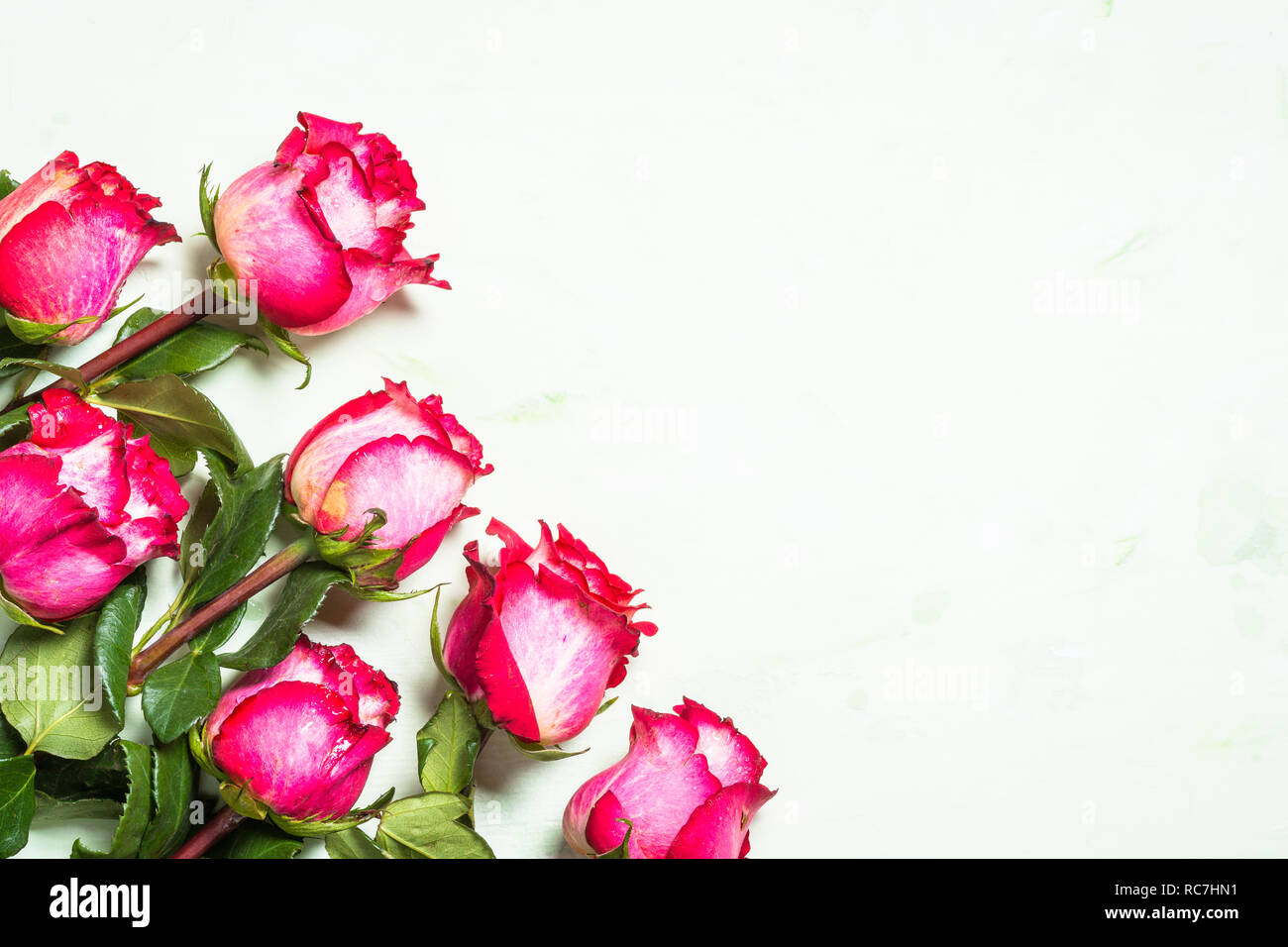 Rose flower background. Top view Stock Photo - Alamy