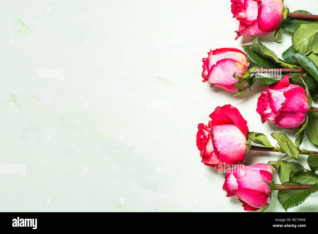 Rose flower background hi-res stock photography and images - Alamy