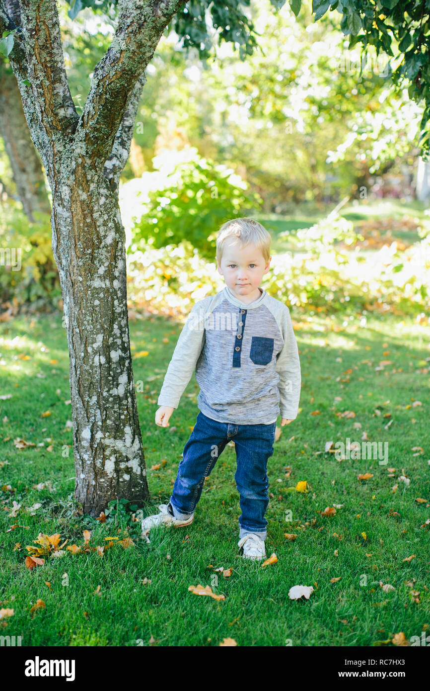 Portrait of boy standing by tree Stock Photo - Alamy