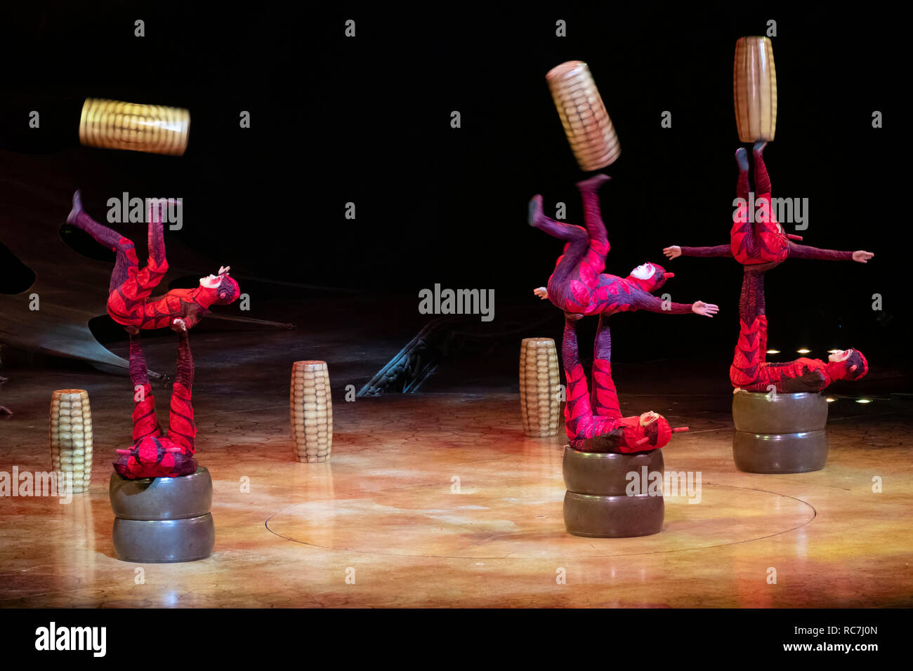 The Cirque du Soleil performing the show Ovo Stock Photo - Alamy