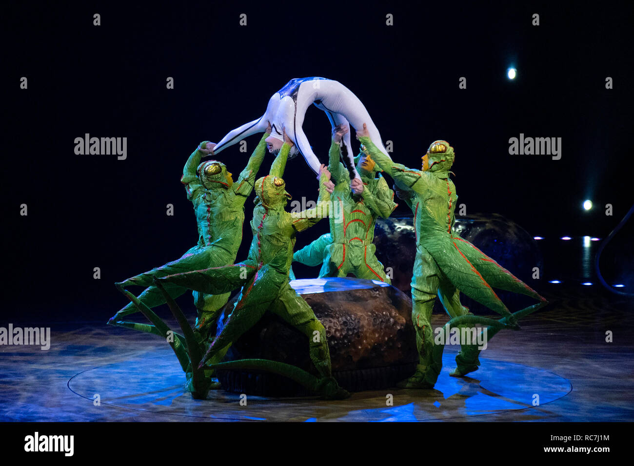 The Cirque du Soleil performing the show Ovo Stock Photo - Alamy
