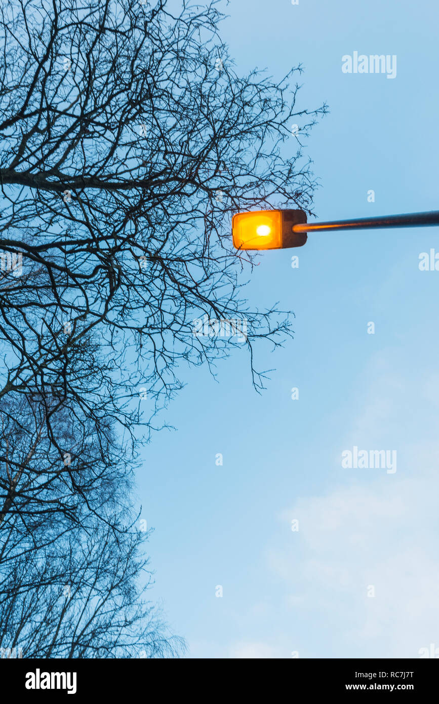 Street light at dusk Stock Photo - Alamy
