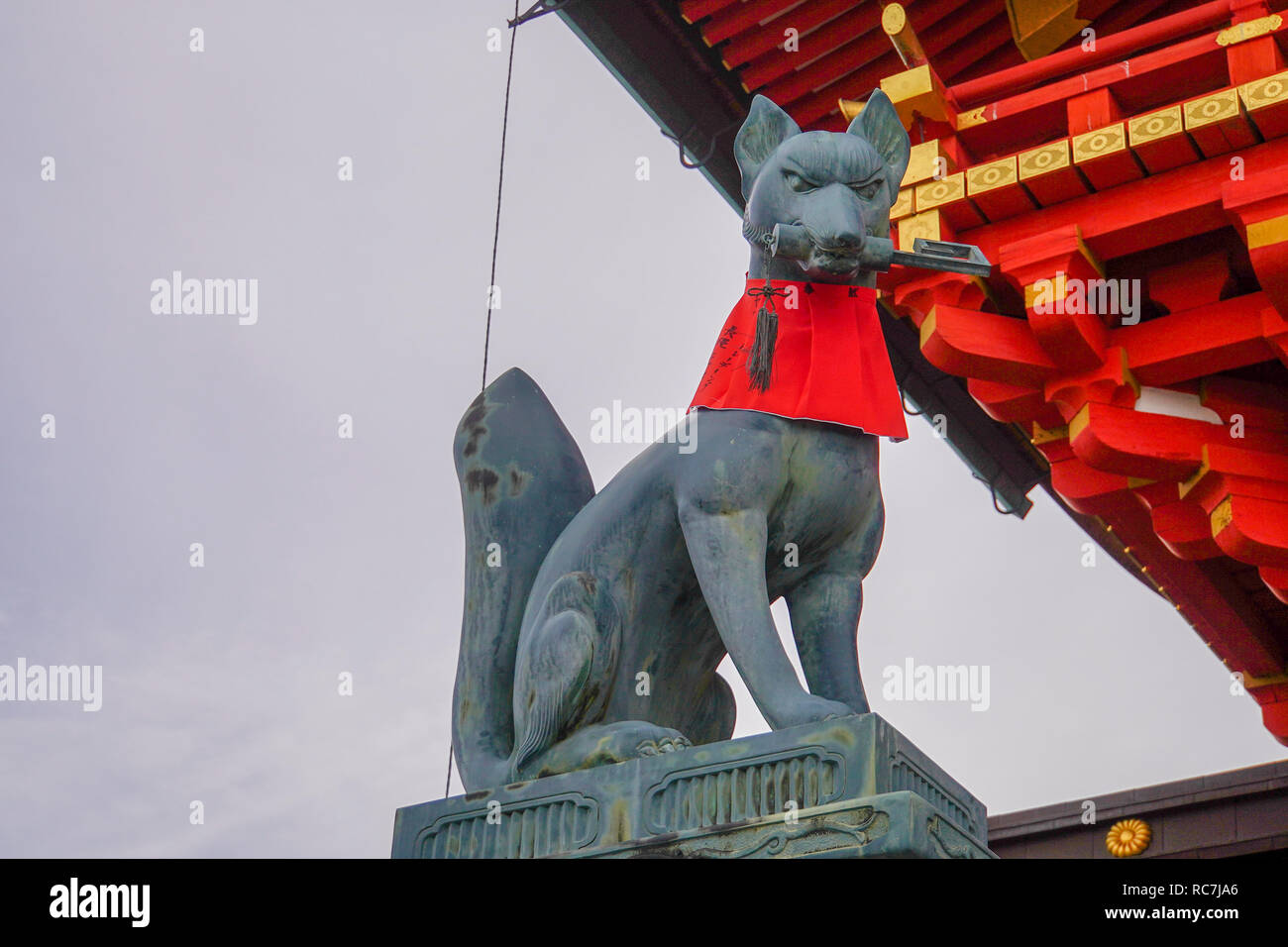 Fushimi inari taisha cat hi-res stock photography and images - Alamy