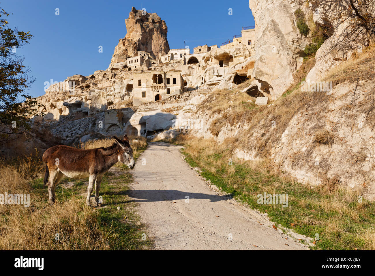 Donkey stone town hi-res stock photography and images - Alamy