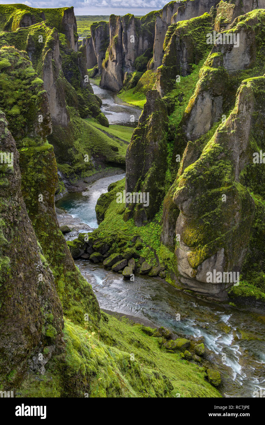 Fjaðrárgljúfur Canyon in southern Iceland. The canyon was carved ...