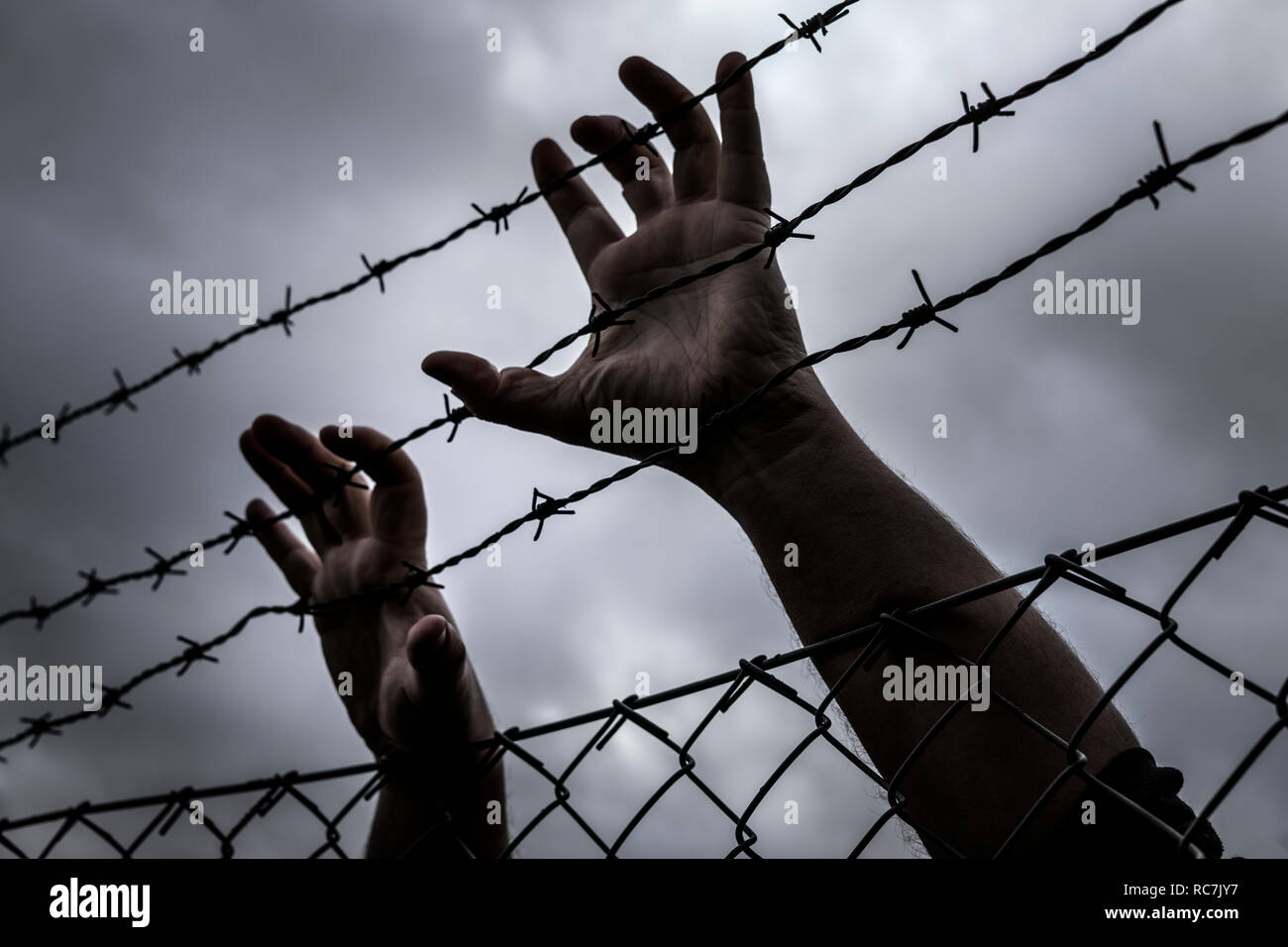 Hands on barb wire Stock Photo - Alamy