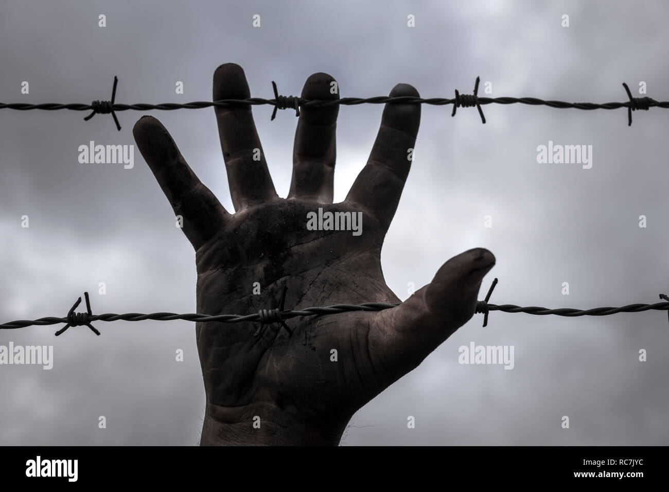 Hands on barb wire Stock Photo - Alamy