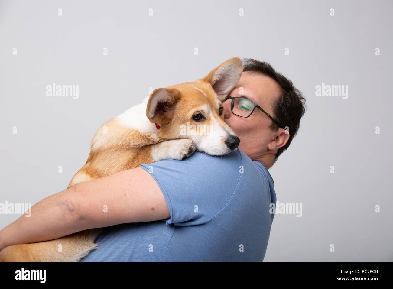 Adult man hold corgi dog Stock Photo - Alamy