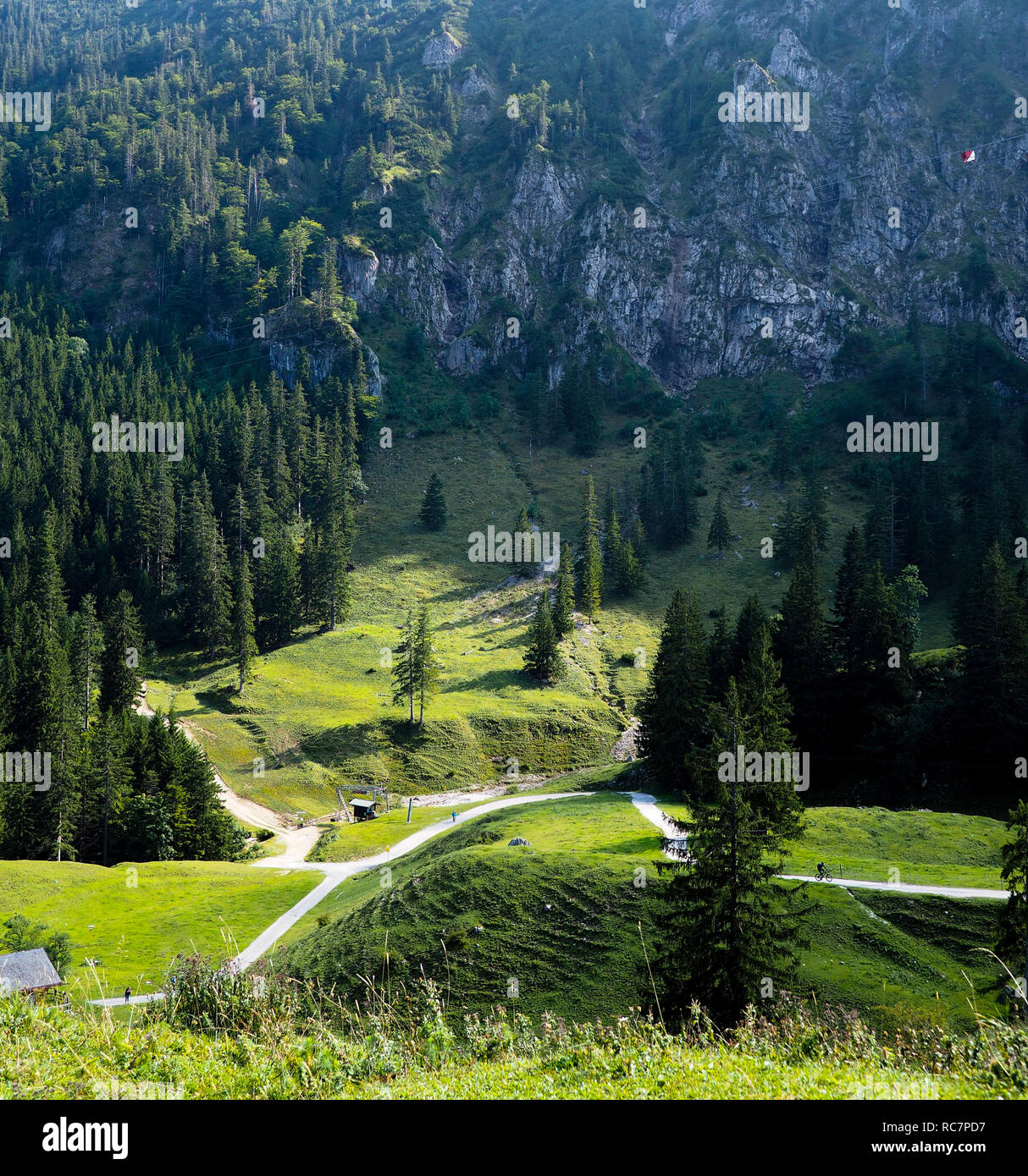 Alm Trees High Resolution Stock Photography and Images - Alamy