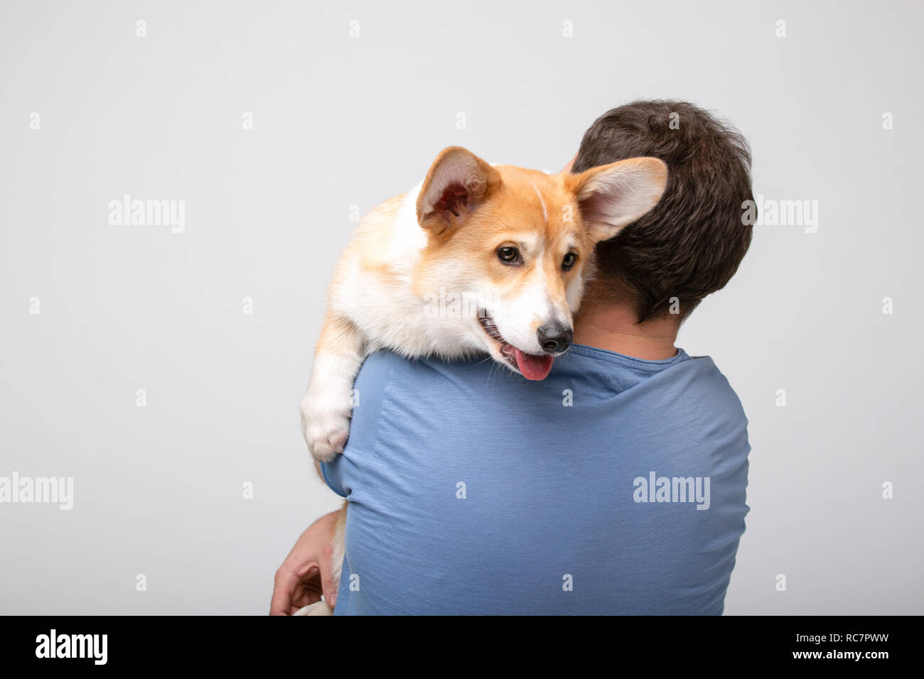 Adult man hold corgi dog Stock Photo - Alamy