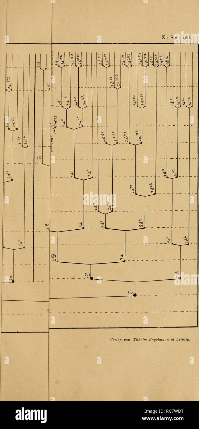Physa fontinalis hi-res stock photography and images - Alamy