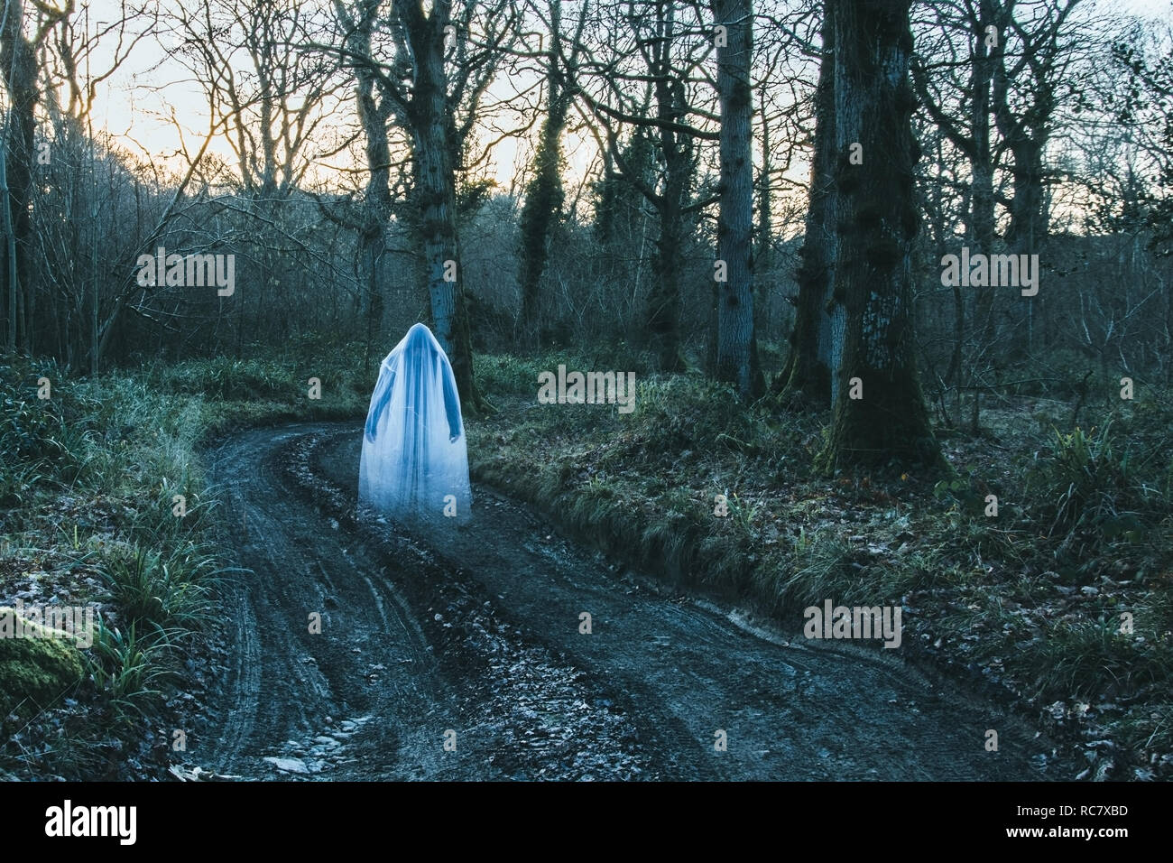 Figure Woods Scary Stock Photos & Figure Woods Scary Stock Images - Alamy
