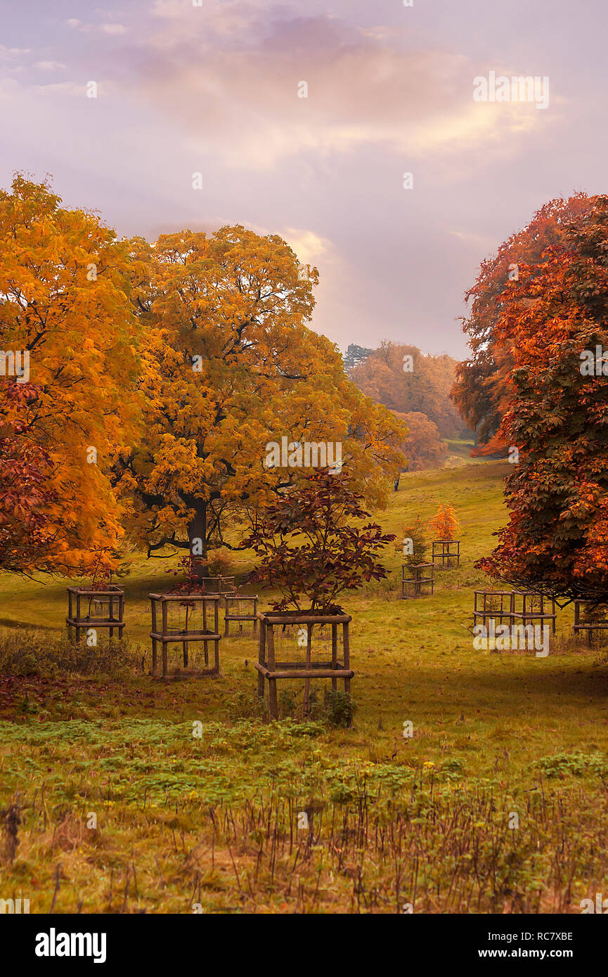 autumn, England countryside - beautiful autumn composition Stock Photo ...