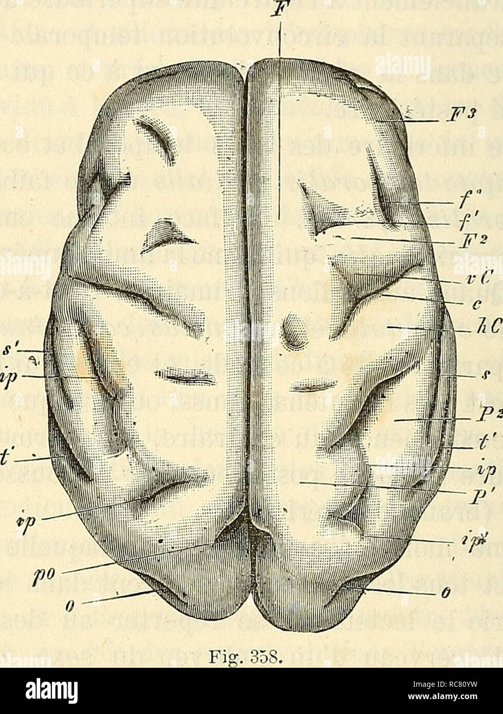 Se 582 hi-res stock photography and images - Alamy