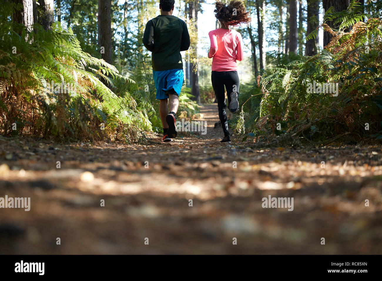 Male and female runners running in forest hi-res stock photography and ...